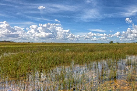 Florida Field Trips - Statewide | Field Trip Directory