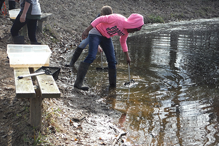 Texas Field Trips - Statewide | Field Trip Directory