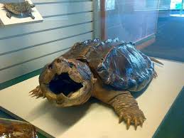 Mississippi Museum of Natural Science - Jackson, MS | Field Trip Directory