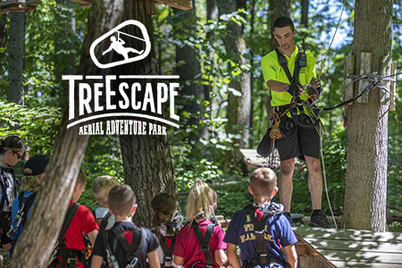 Treescape Aerial Adventure Park | Field Trip Directory ...